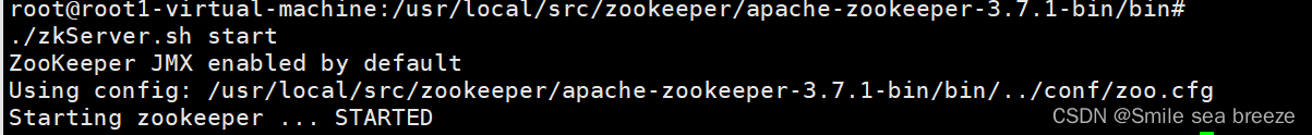 ubuntu安装zookeeper详细教程-CSDN博客