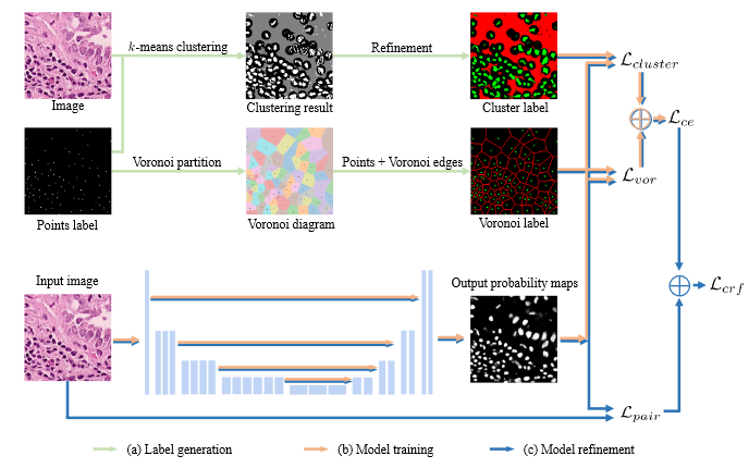 【CV\segmentation】基于Voronoi图的超像素分割及其在 [点标注] 弱监督学习中的应用 || 学习笔记_voronoi-based segmentation-CSDN博客
