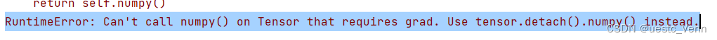 RuntimeError: Can‘t call numpy() on Tensor that requires grad. Use tensor.detach().numpy ...