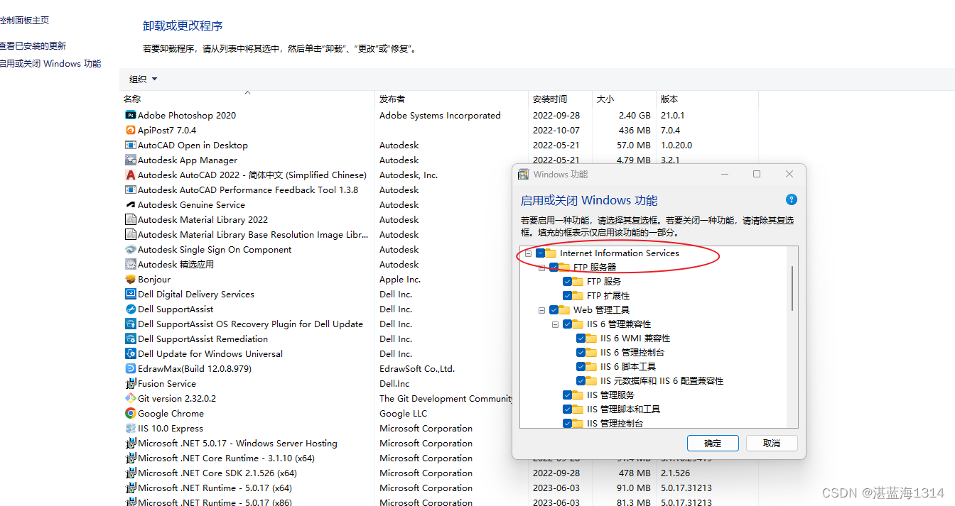 IIS 部署_dotnet-hosting-5.0.17-win-CSDN博客