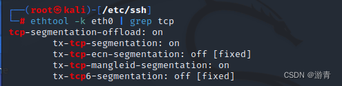 tcpdump抓包显示tcp长度远大于mss值的解决方法_tcpdump tso-CSDN博客