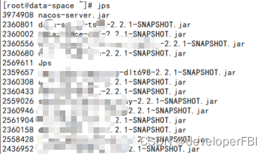 linux PS和JPS命令的区别_linux jps-CSDN博客