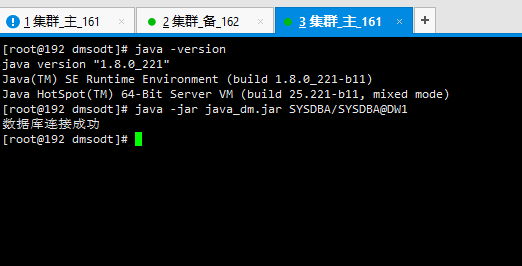 java应用系统正确的连接DM主备集群_oracle constraint check-CSDN博客