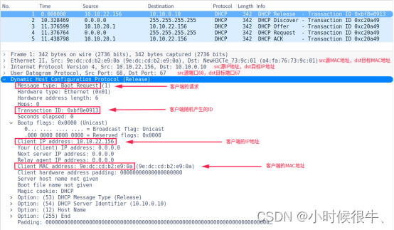 DHCP抓包-Wireshark分析-CSDN博客