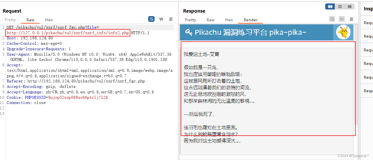 SSRF漏洞-CSDN博客