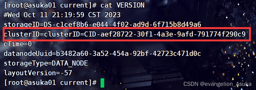 Hadoop集群启动时没有Datanode-CSDN博客
