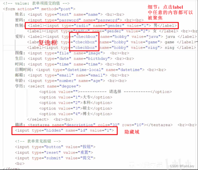 【Java Web】001 -- HTML快速入门-CSDN博客