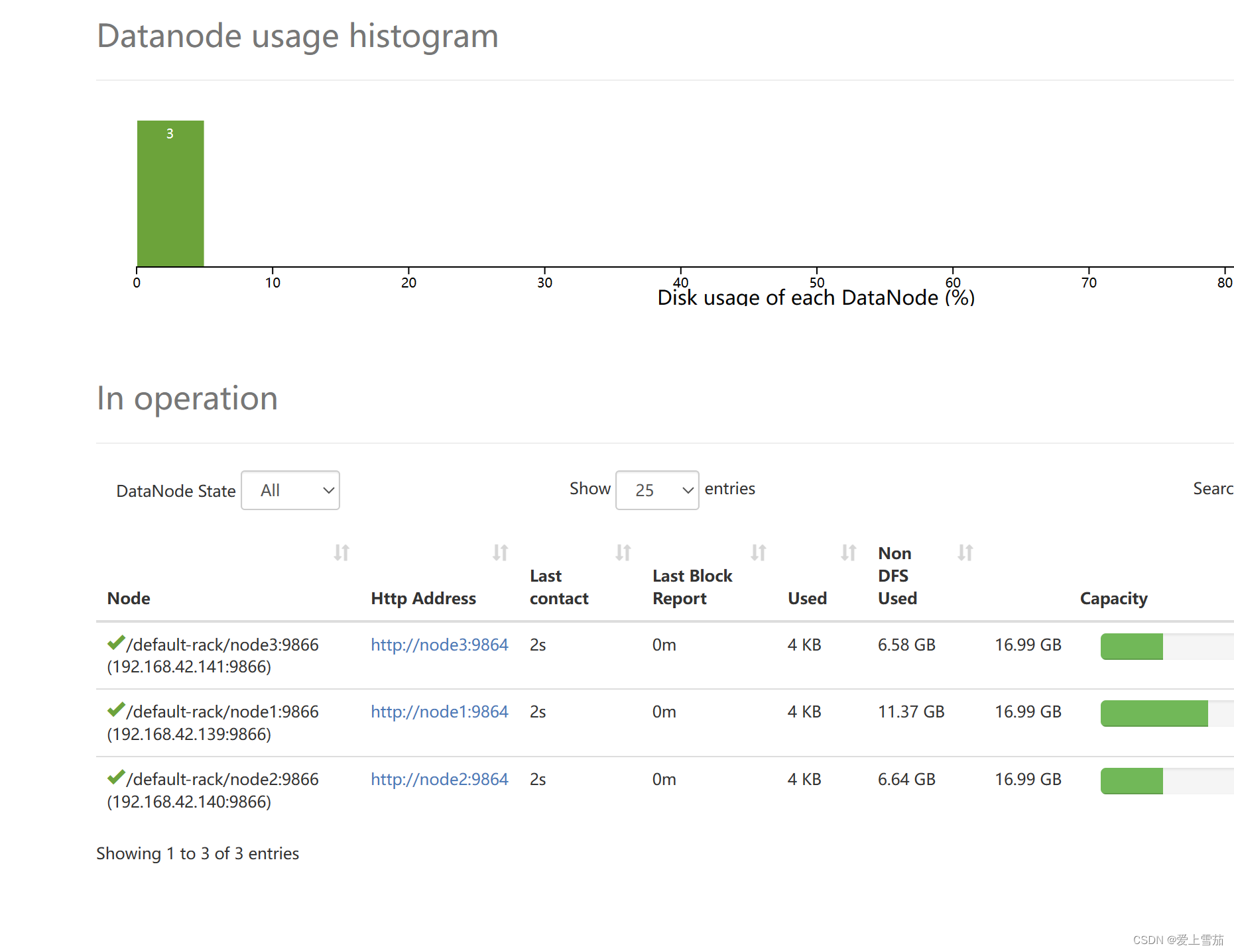 在linux下hadoop集群 DataNode不能启动的情况_集群datanode未启动-CSDN博客