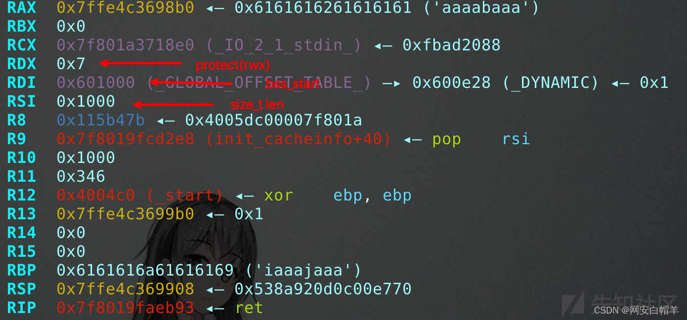 一步一步分析return To Mprotect的利用 Pwn 64位静态编译 Mprotect Csdn博客