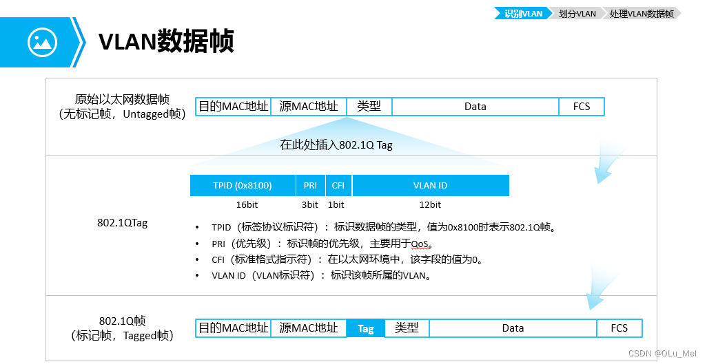 VLAN原理与配置_vlan 报文格式-CSDN博客