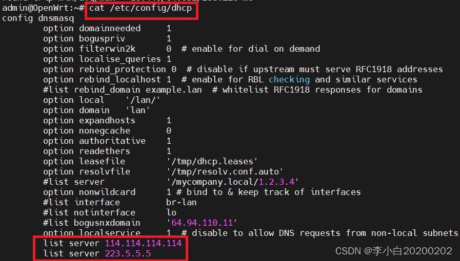 [openwrt]DNS解析流程_dnsrebind openwrt-CSDN博客