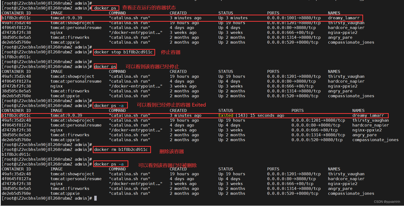 Docker 常用命令 Csdn博客