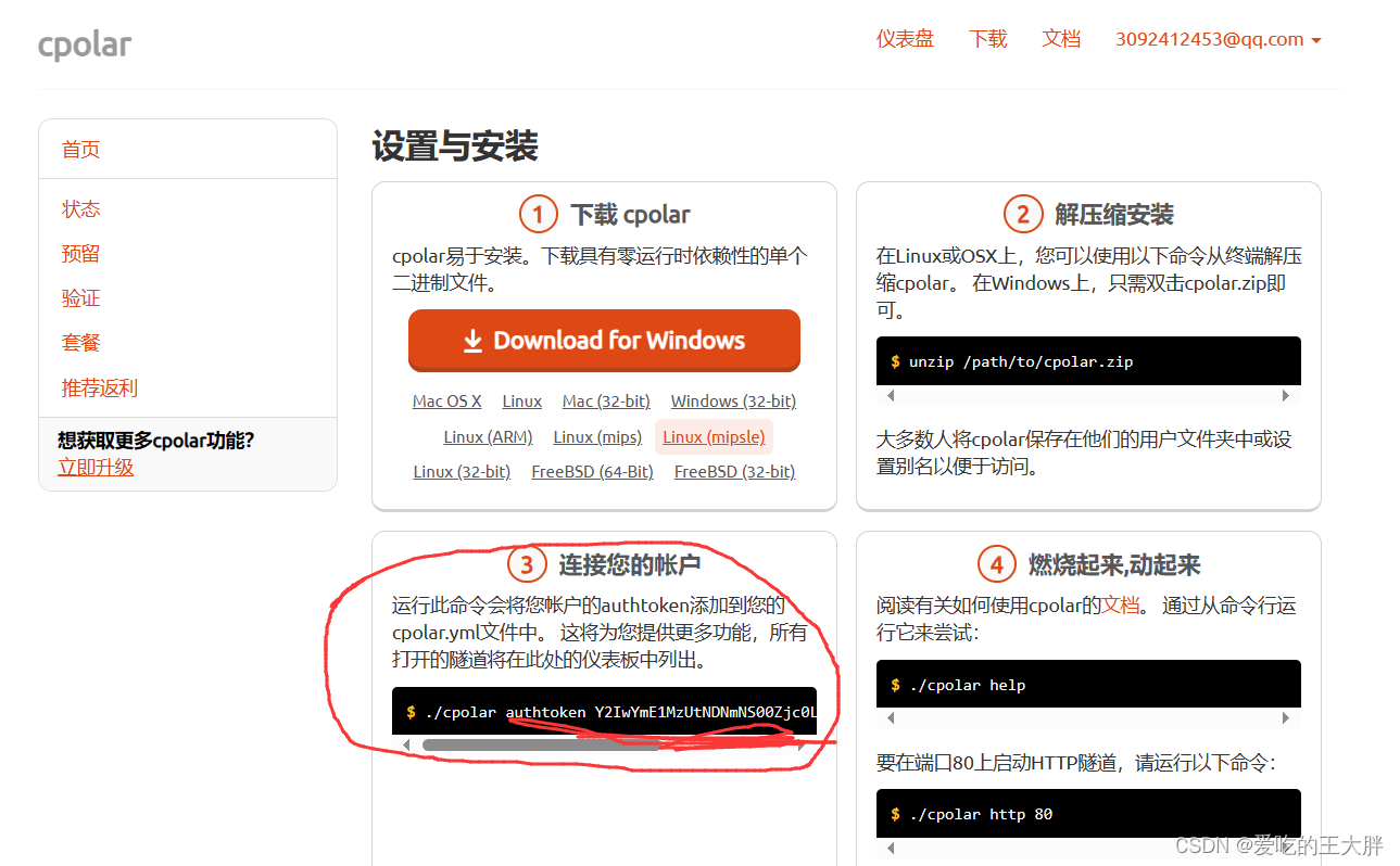 Linux中使用cpolar内网穿透_linux coplar启动-CSDN博客