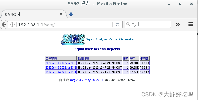 Squid代理服务器_squid代理服务器配置-CSDN博客