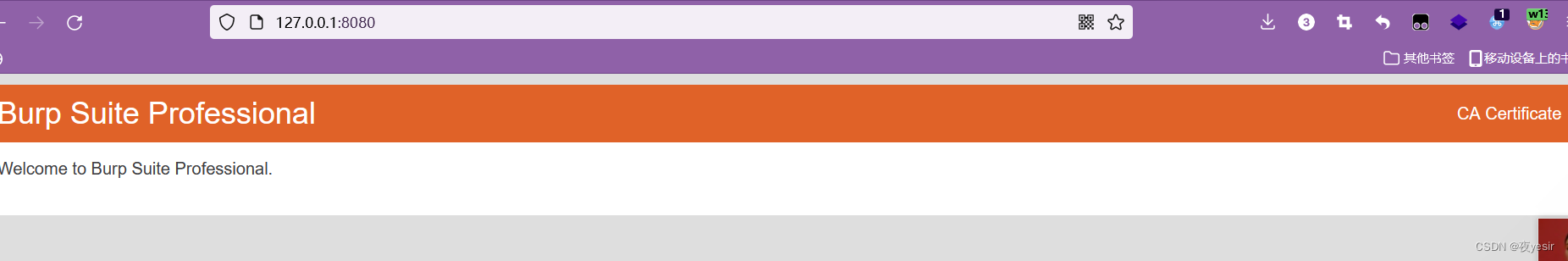 xray与burpsutie联动自动挖掘漏洞_xray要跑多久-CSDN博客
