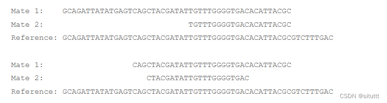 The bowtie2 aligner-CSDN博客
