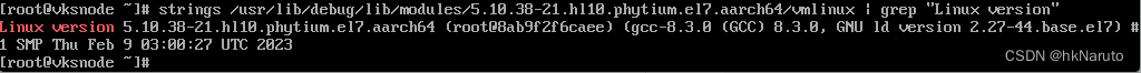linux strings查看vmcore、vmlinux对应内核版本_vmcore文件怎么看-CSDN博客