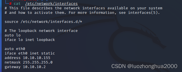 kali ip dns 手工设置并联网通过_kali修改dns-CSDN博客