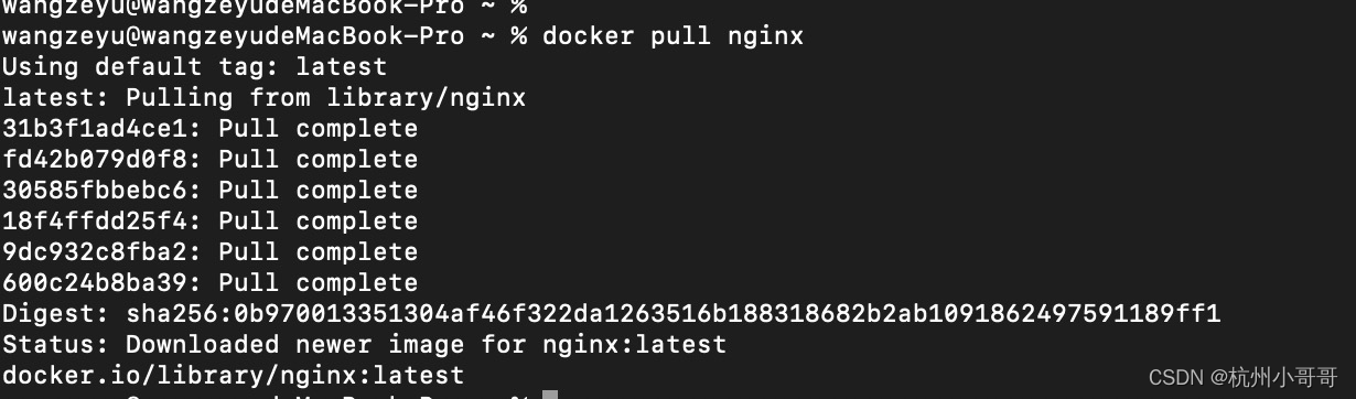 使用docker安装nginx笔记_dockerhub怎么搜索nginx-CSDN博客