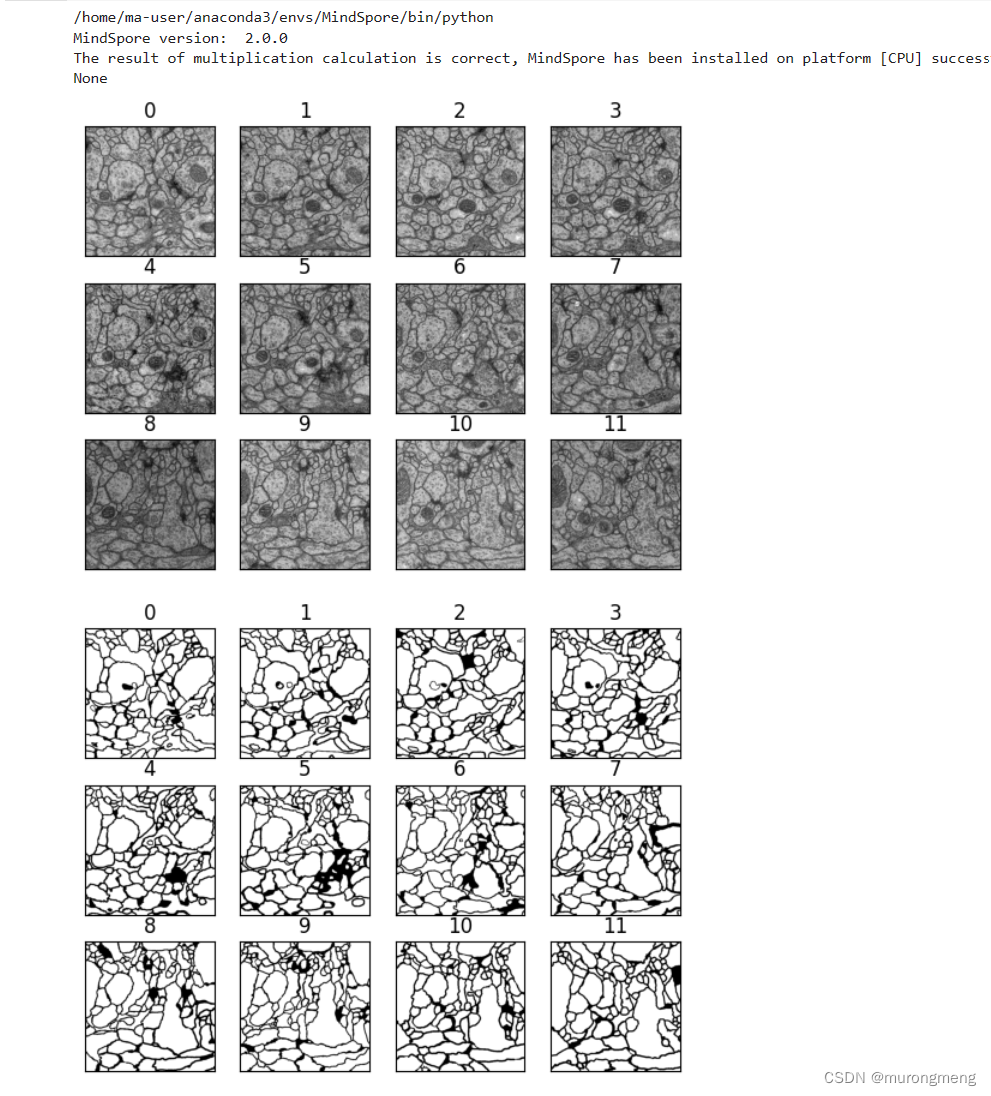 MindSpore社区活动：UNet-2D的图像分割_mindpsore的unet训练 isbi challenge数据集-CSDN博客