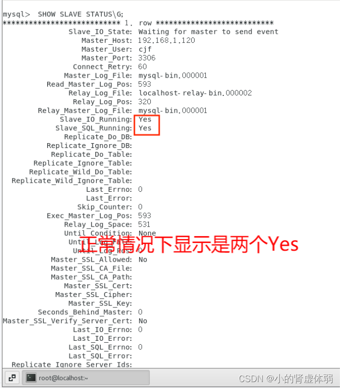 Mysql主从服务配置在主服务器上开启二进制日志功能 Csdn博客 