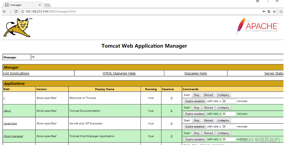 Tomcat开启manager和host-manager界面_manager-gui-CSDN博客