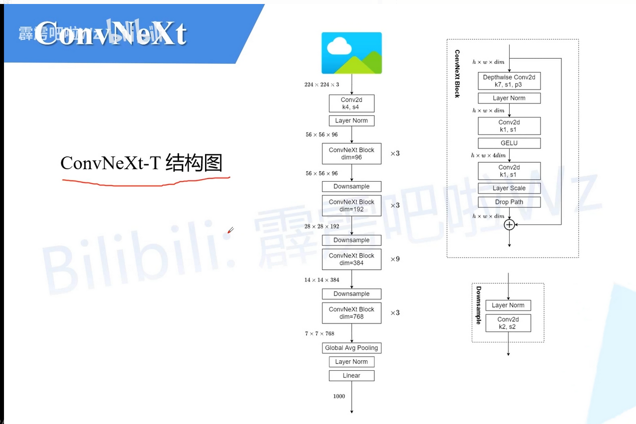 ConvNext-Pytorch实现心肾脾胰器官分割_使用convnext作为unet网络的编码器-CSDN博客