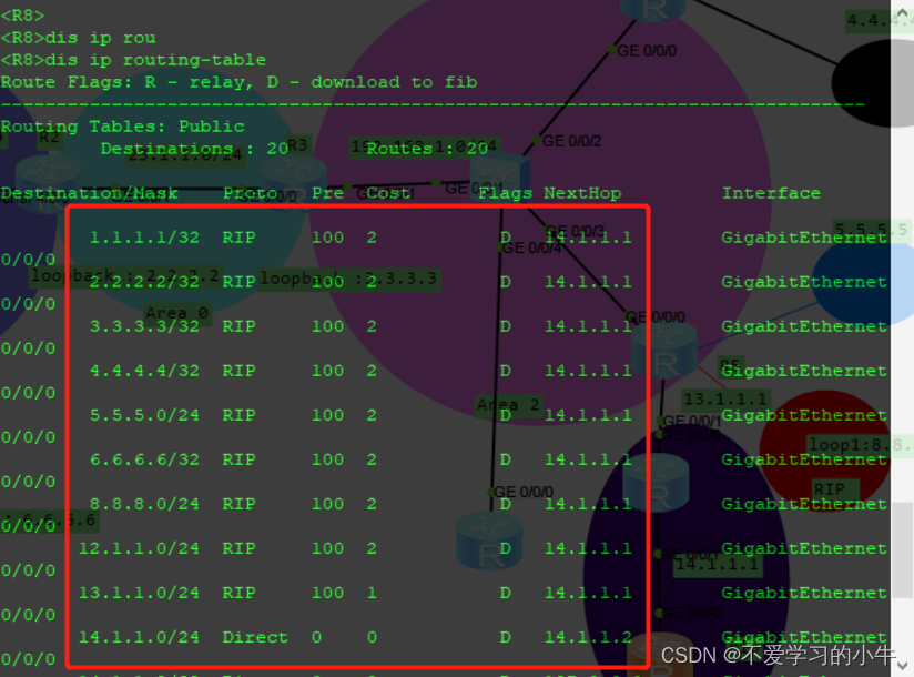 网络精通-OSPF路由引入-CSDN博客