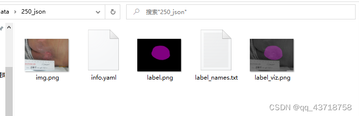 labelme的json文件转换为VOC数据集的png_labelme转voc-CSDN博客