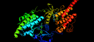 pymol 动画简单制作，gif、mp4导出_pymol怎么导出高分辨率图片_loong_XL的博客-CSDN博客