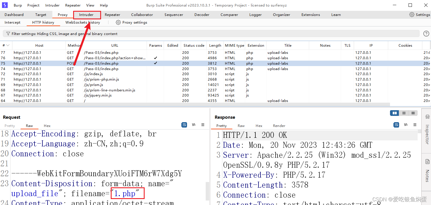 尝试fuzz测试文件上传靶场的黑名单_burp suite 的 intruder 模块禁止url编码-CSDN博客