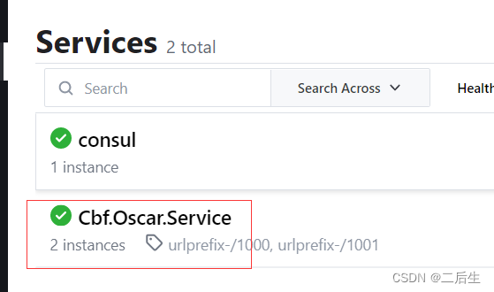 .Net5+Ocelot+Consul+网关缓存+限流+熔断+polly降级+动态路由_netcore ocelot consul动态-CSDN博客