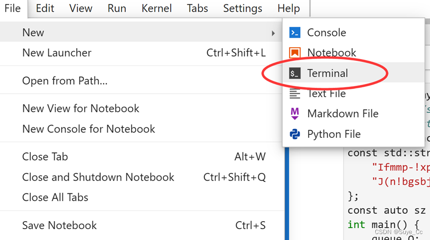 初学DPC++（1）_下载dpc++-CSDN博客