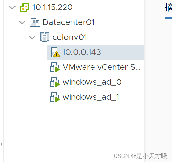 Vcenter server 服务使用-CSDN博客