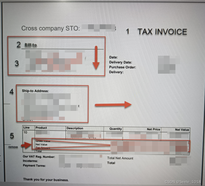 SAP 输出管理：生成自定义发票文件_sap 发票 output-CSDN博客