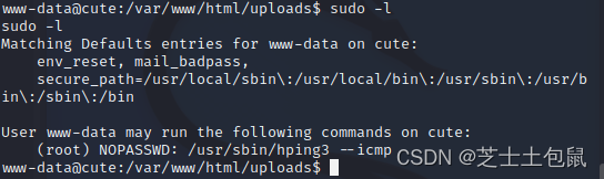 从WEB到内网&&信息收集&&SSH爆破&&SUDO提权 ------打靶经验分享_如何通过80端口攻击-CSDN博客