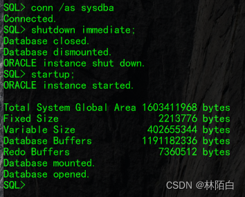 WIN10 docker 安装 oracle11g 并使用PLSQL链接_docker安装plsql-CSDN博客