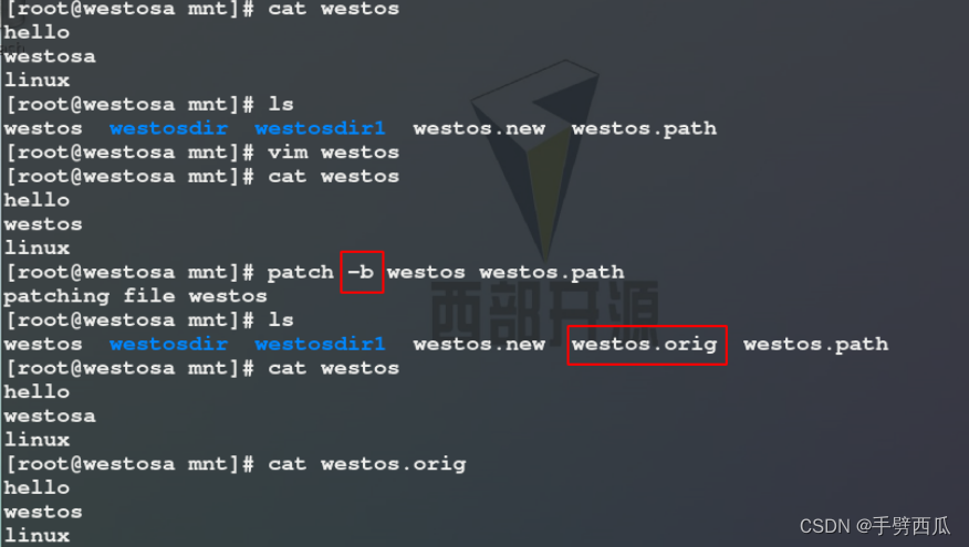 shell中的常用基础命令_shell sort -rn-CSDN博客