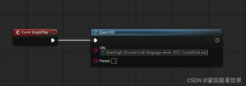 UE4、UE5凋用第三方PC程序_ue5拉起外部程序-CSDN博客