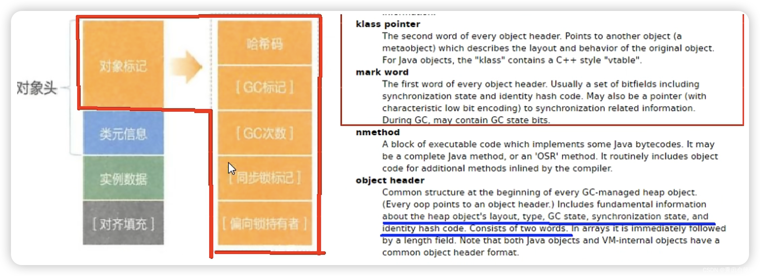 Java对象内存布局和对象头_java获取对象在堆的标识-CSDN博客