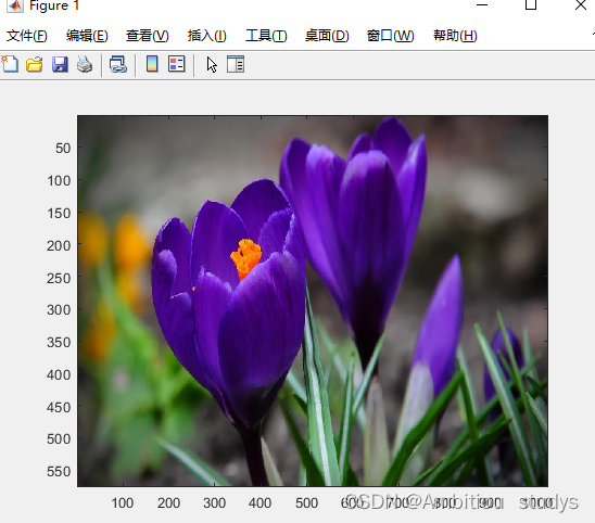 matlab图像四种类型_matlab支持的图像类型-CSDN博客
