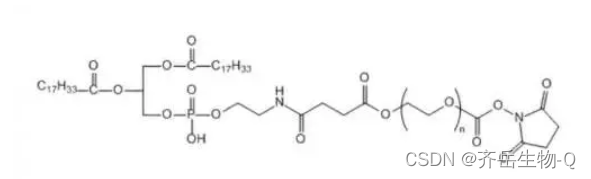DOPE-PEG2000-NHS 活性酯修饰聚乙二醇PE磷脂 DOPE-PEG-NHS-CSDN博客