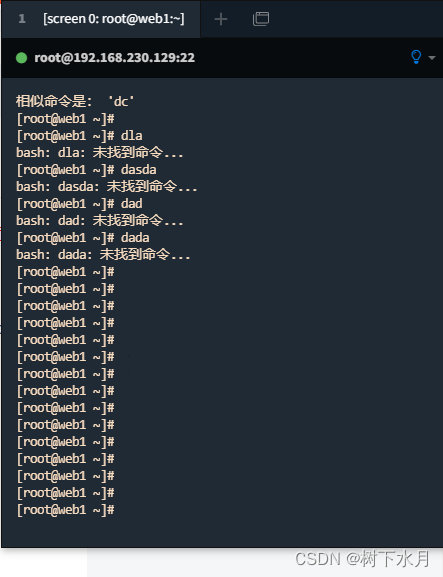 如何在ssh 工具 Linux screen会话中使用鼠标进行上下滚动_screen 窗口怎么划动-CSDN博客