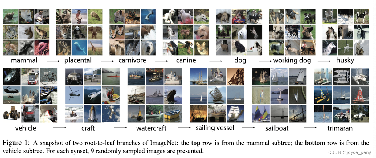【论文摘要】imagenet:a Large Scale Hierarchical Image Databaseimagenet A Large Scale Hierarchical