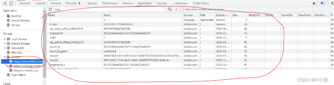 cookie是什么？有什么用？cookie详解，一篇文章彻底搞懂cookie-CSDN博客