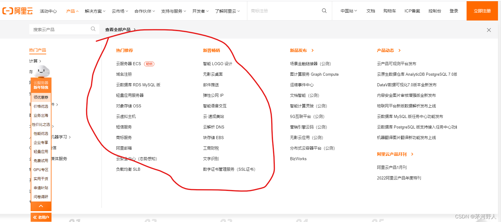 Linux（ECS云服务器）_linux ecs-gd-yunsuo.novalocal-CSDN博客