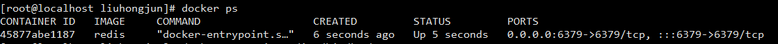 Linux上使用docker启动redis并远程访问linux Docker 启动redis Csdn博客
