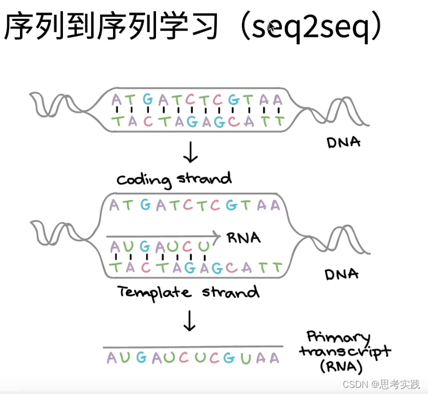 编码器解码器架构、seq2seq简要笔记seq2aeq中的解码器 Csdn博客