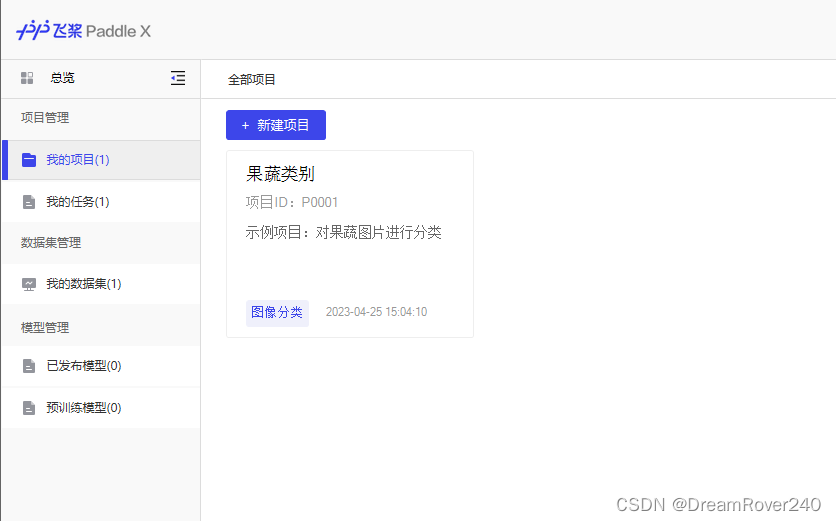 PaddleX入门教程1：利用PaddleX图形化工具进行训练_paddlex1.0模型转换-CSDN博客